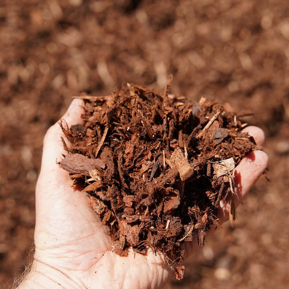 PINE BARK SOFTFALL (10MM) HORT BARK CUBE $99 — Ace Landscapes Supplies